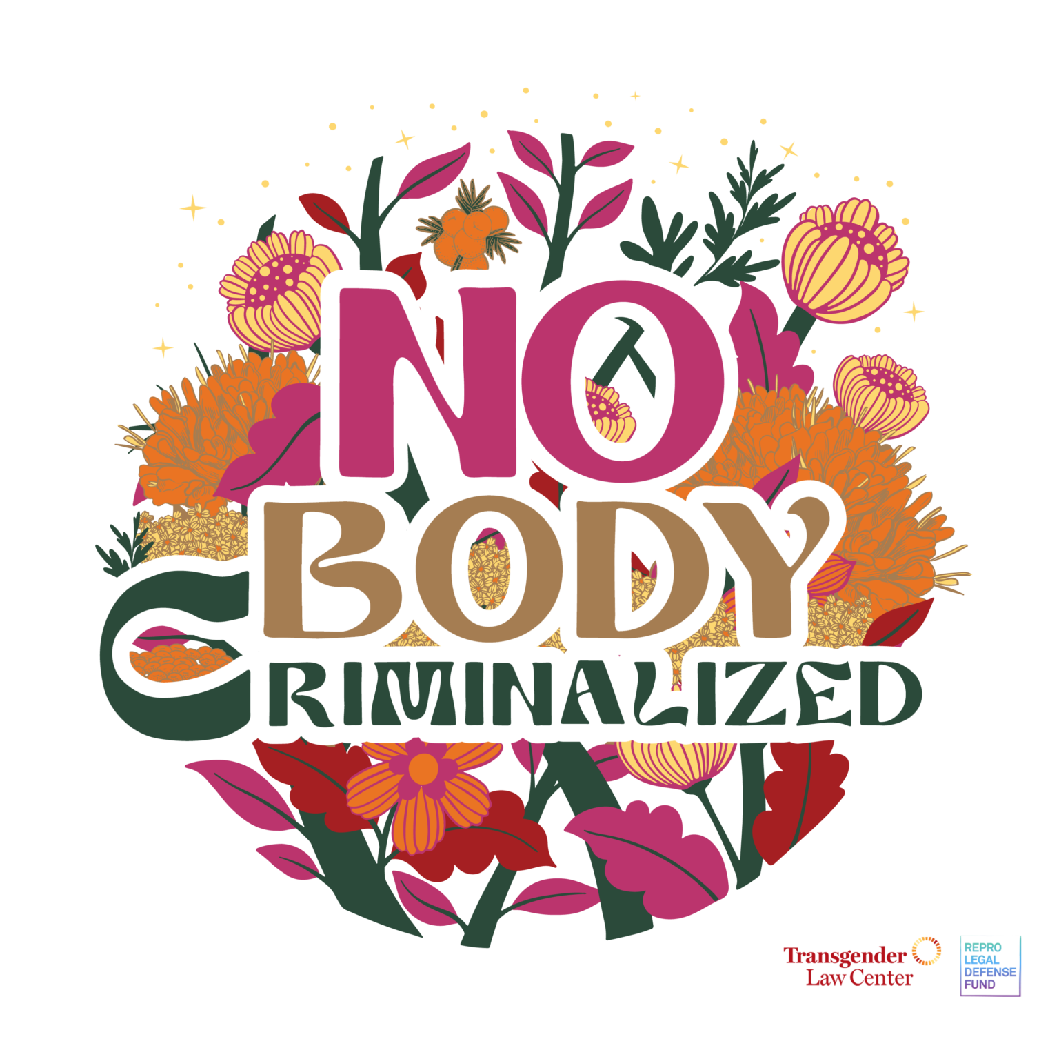 Litigation - Transgender Law Center