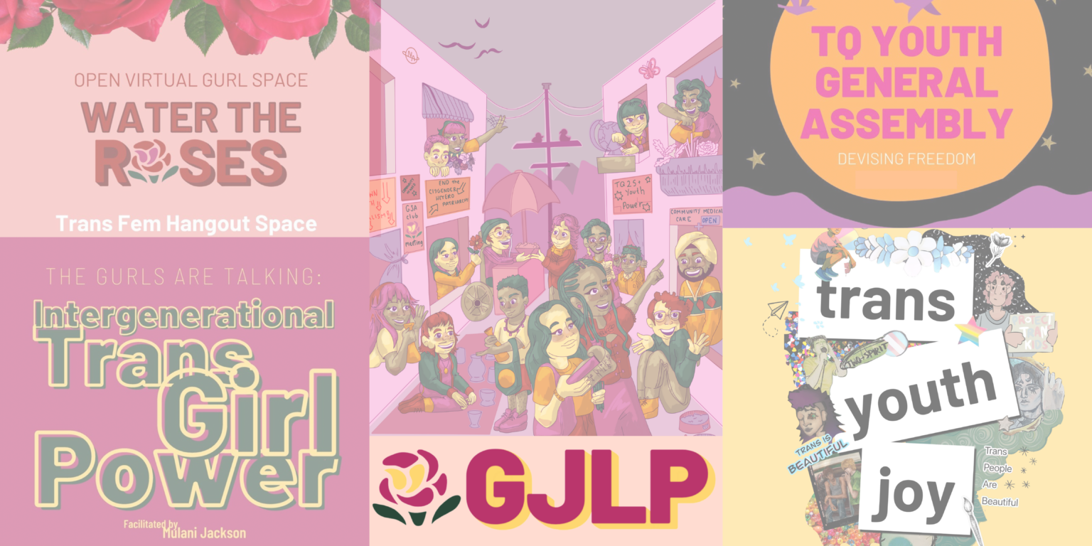 Gender Justice Leadership Programs - Transgender Law Center