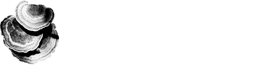 Home - Transgender Law Center